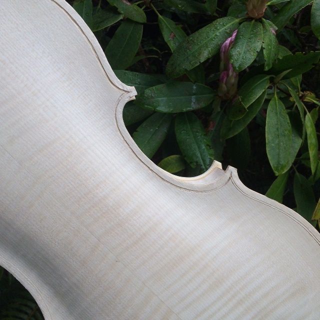 Final woodwork on 5-str. 16-1/2" Viola | Five String Fiddles